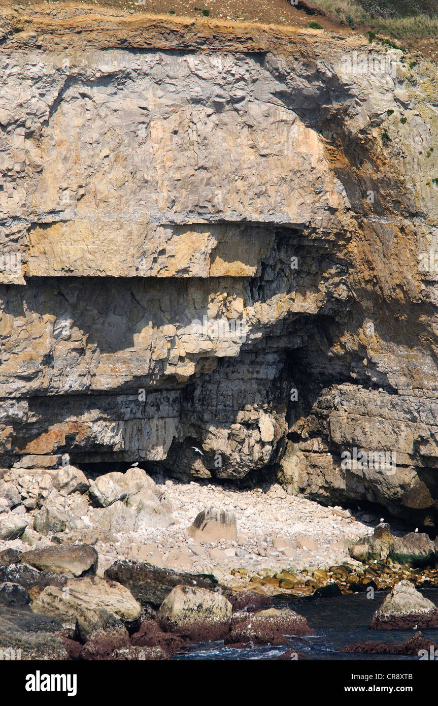 Jurassic coast cliff rocks hi-res stock photography and images - Alamy