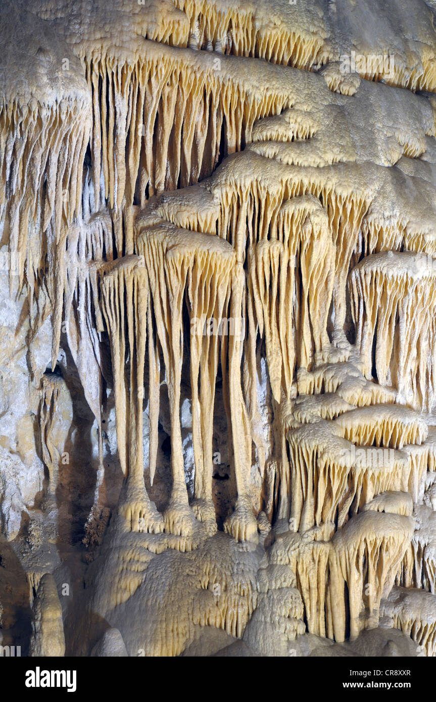 Calcite flowstone formation in the Big Room, Carlsbad Caverns National ...