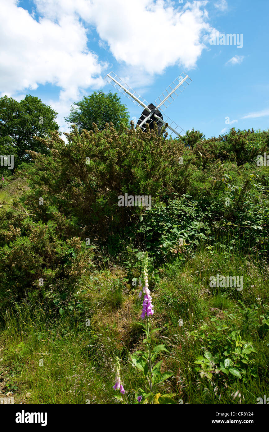 Reigate windmill hi-res stock photography and images - Alamy