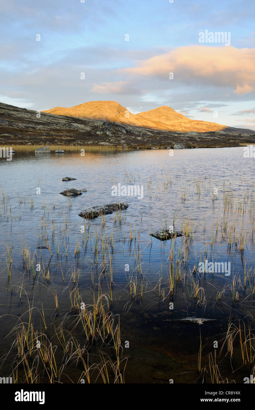 Fjell lake hi-res stock photography and images - Alamy