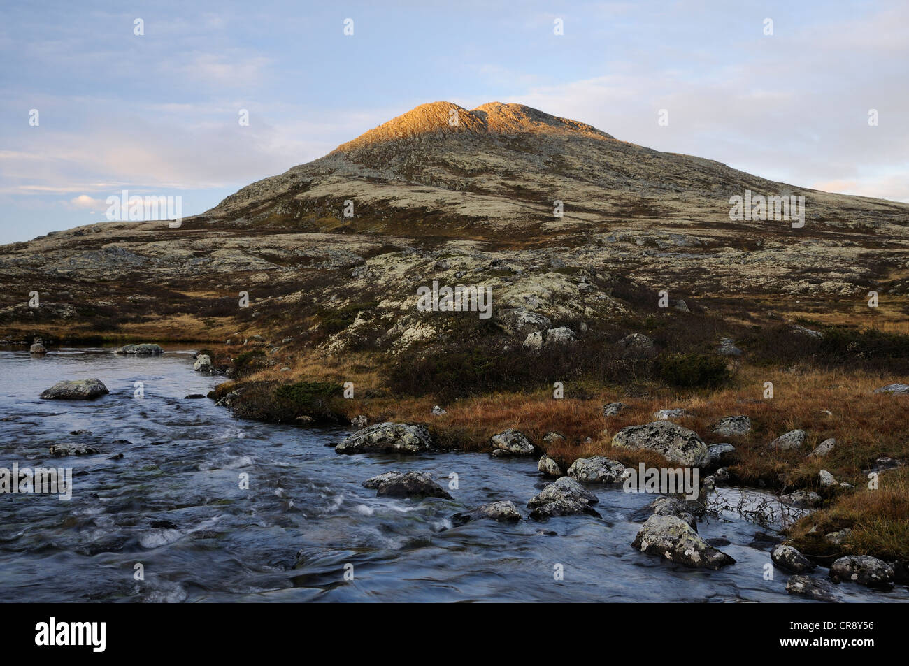 Fjell landscape at Lake Muvatnet in autumn, Ringebufjellet, Norway ...