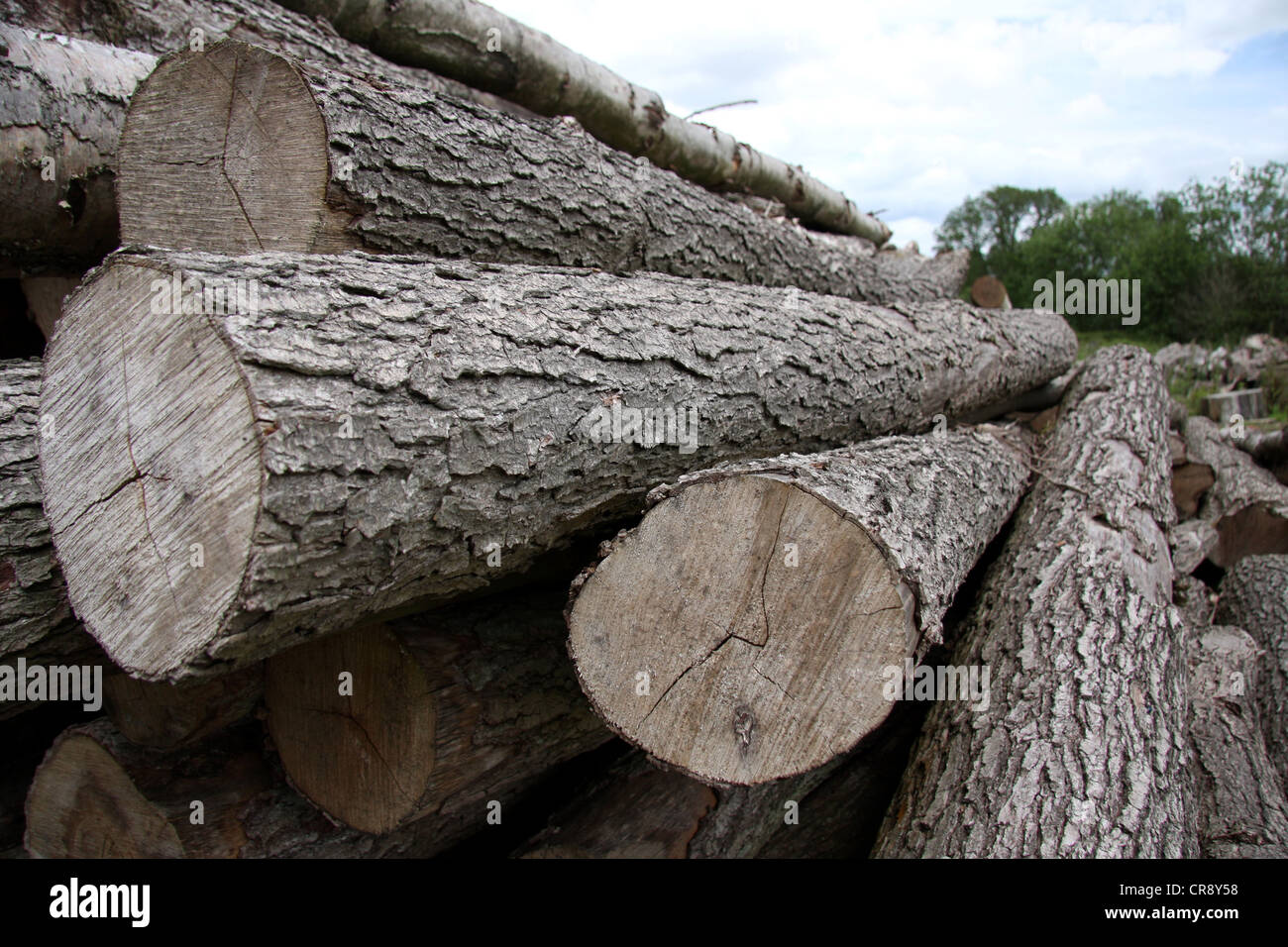 Stack of logs Stock Photo - Alamy