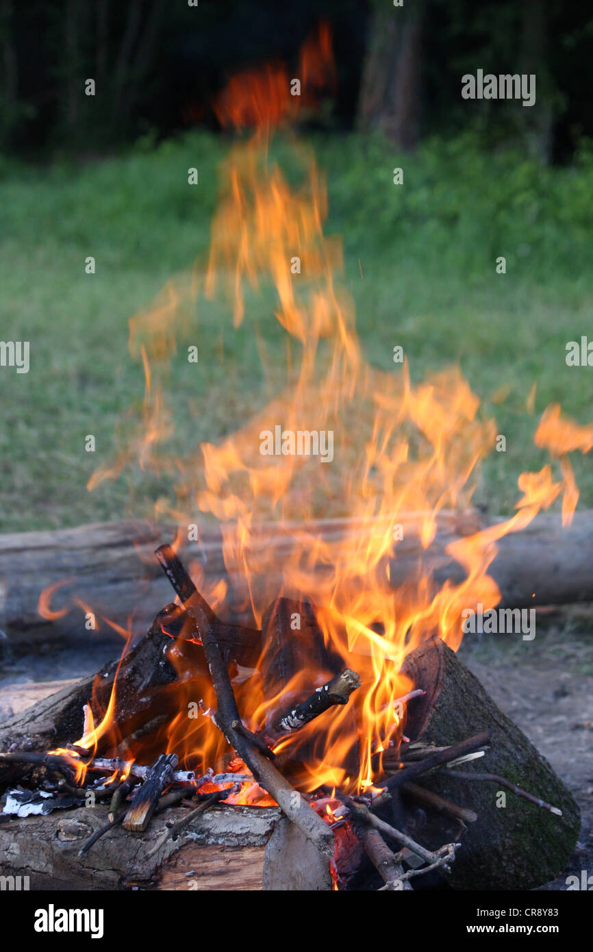 Open camp hi-res stock photography and images - Alamy