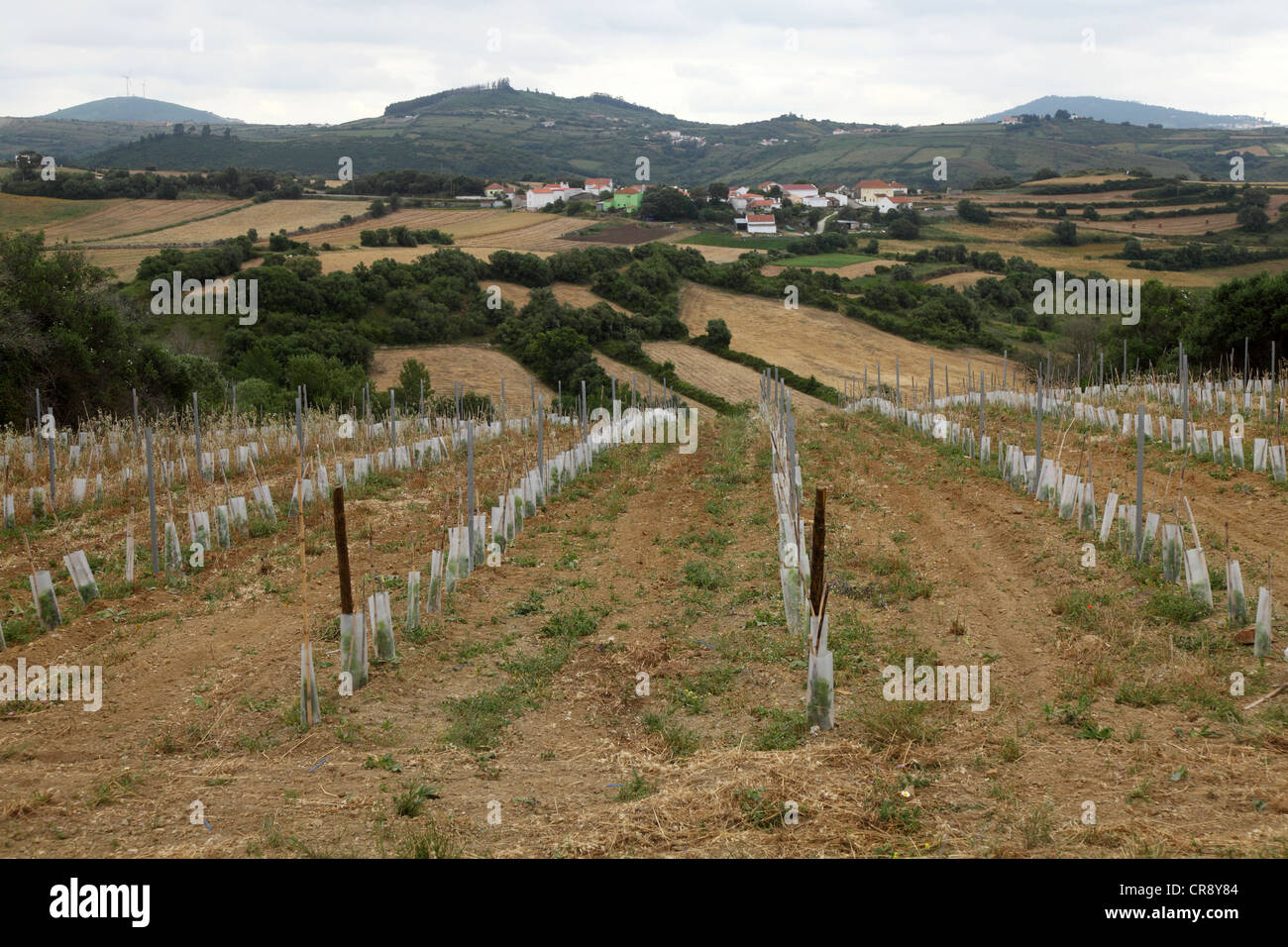 North of lisbon hi-res stock photography and images - Alamy