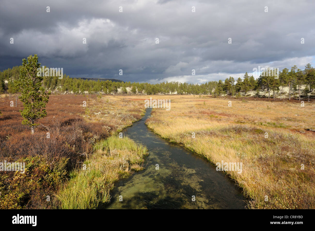 Landscape with a stream in Rondane National Park, Norway, Europe Stock ...