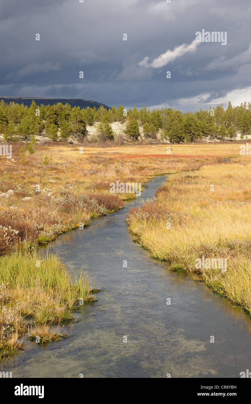 Landscape with a stream in Rondane National Park, Norway, Europe Stock ...