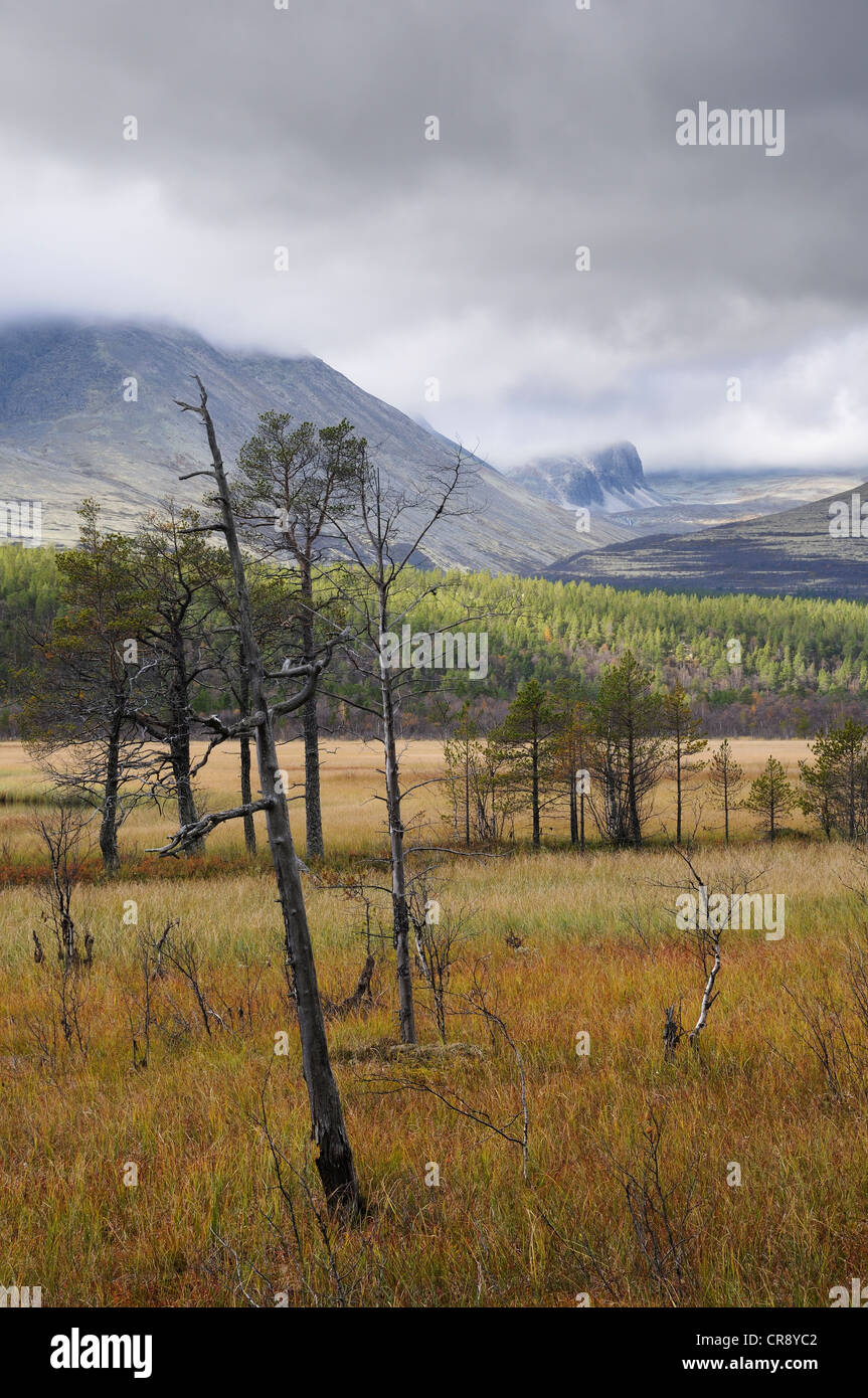 Marshy landscape in Rondane National Park, Norway, Europe Stock Photo ...