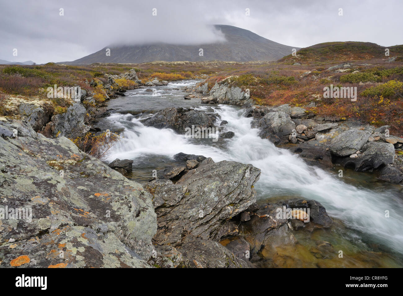 Stropla stream in Dovrefjell Sunndalsfjella National Park, Norway ...
