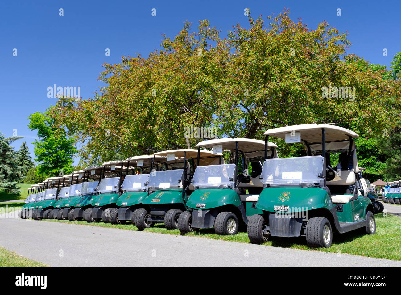 Motorized golf carts lined in a row before a shotgun start at a ...