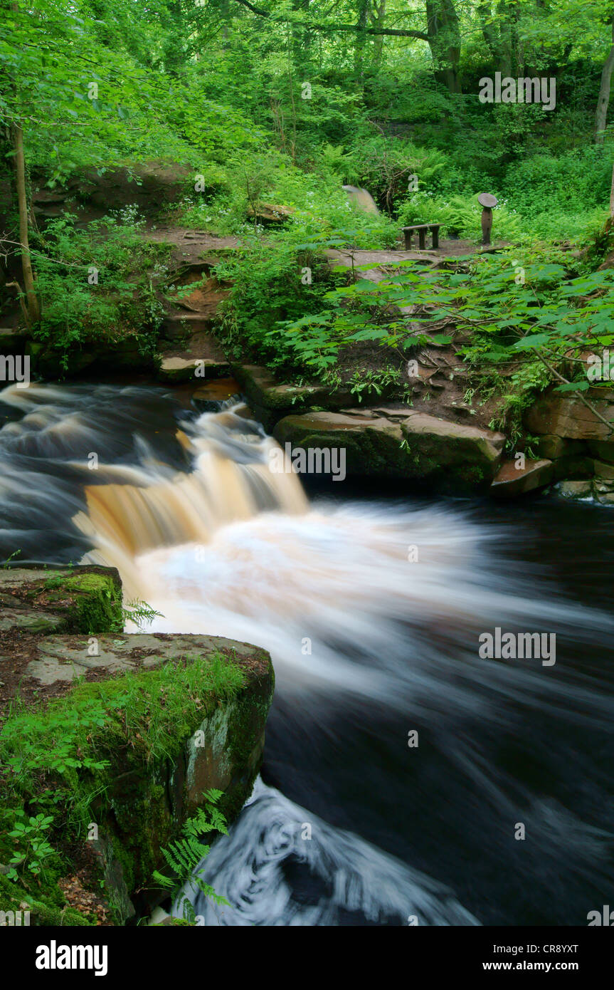 UK,South Yorkshire,Sheffield,River Rivelin Waterfall near Upper Coppice ...
