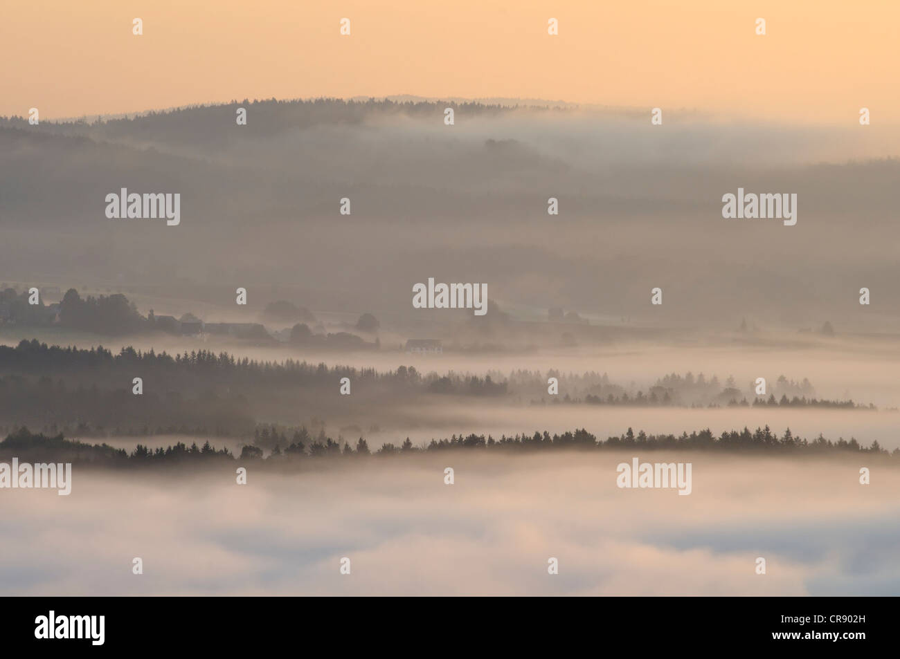 Fog in the Elbe Sandstone Mountains, Saxony, Germany, Europe Stock ...