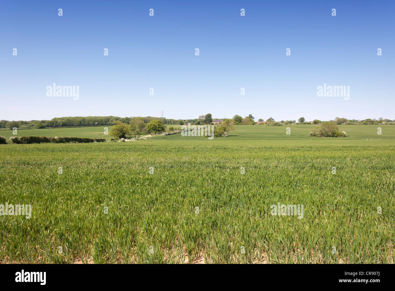 The beautiful open farmland of "North Norfolk" in Great Britain Stock ...