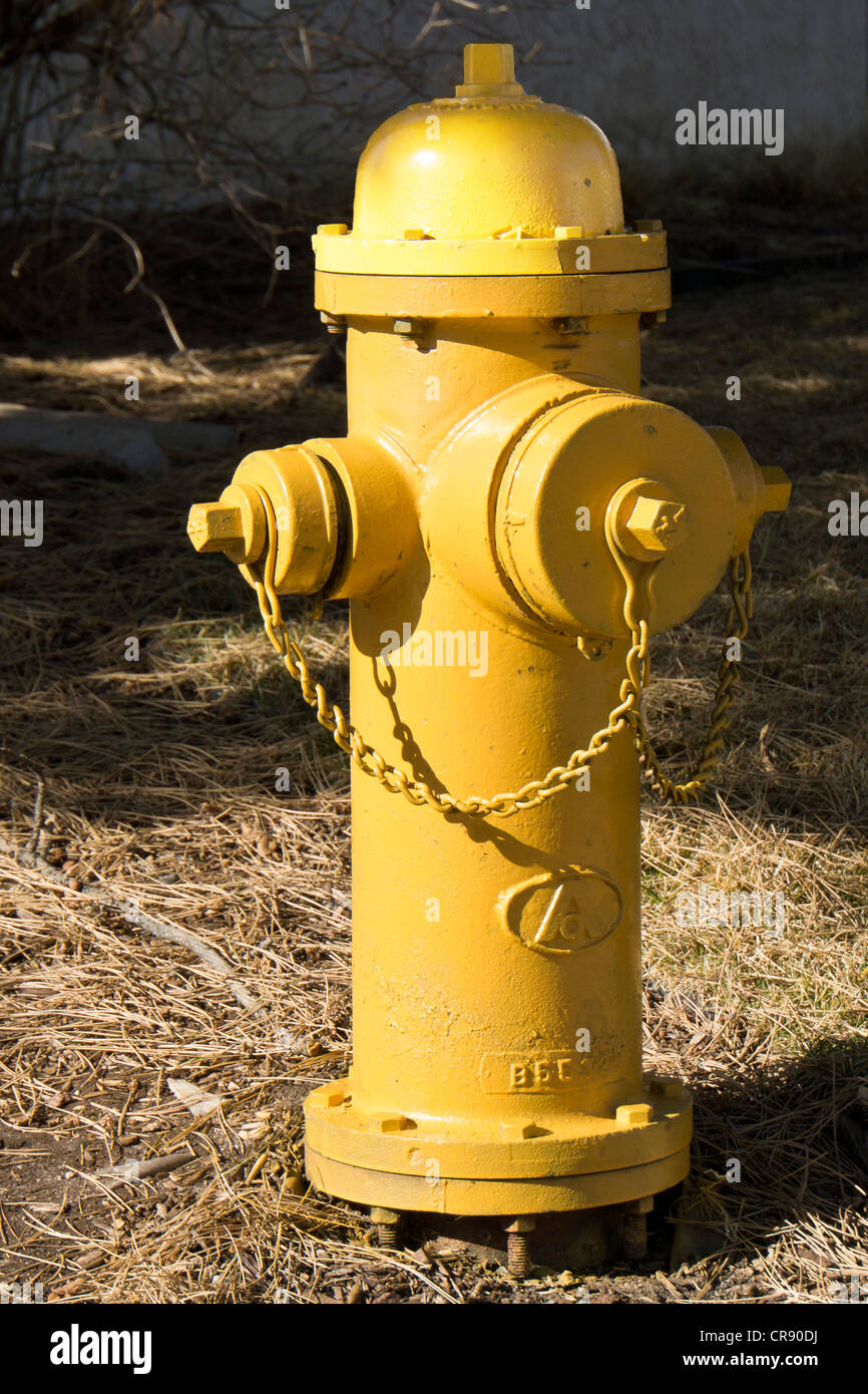 Yellow fire hydrant Stock Photo - Alamy