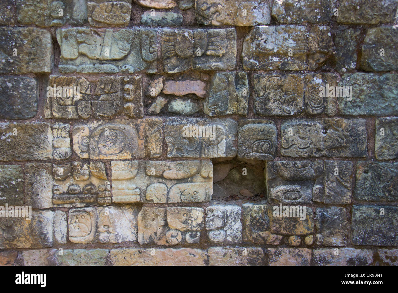 Hieroglyph in Copan Ruins, Maya Site of Copan, UNESCO World Heritage ...