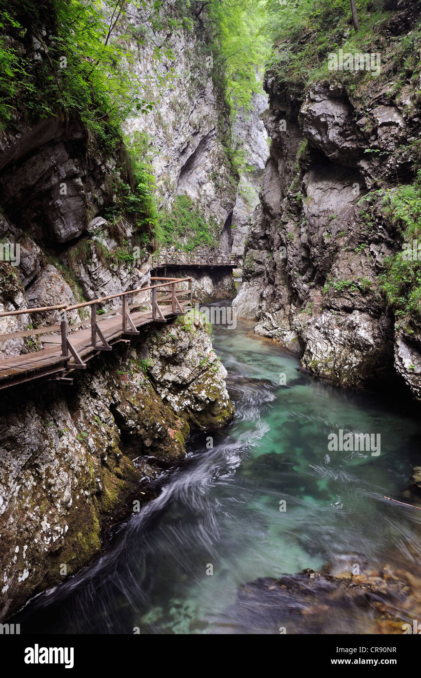 Boardwalk over the watercourse of the Radovna River in Vintgar Gorge ...