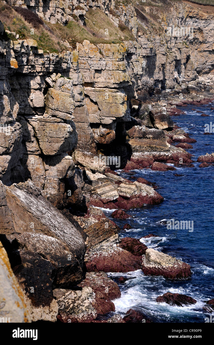 Seacombe Cliff High Resolution Stock Photography and Images - Alamy