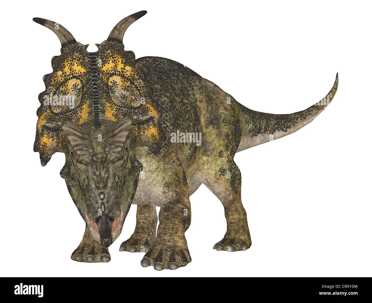 Dinosaur King Achelousaurus