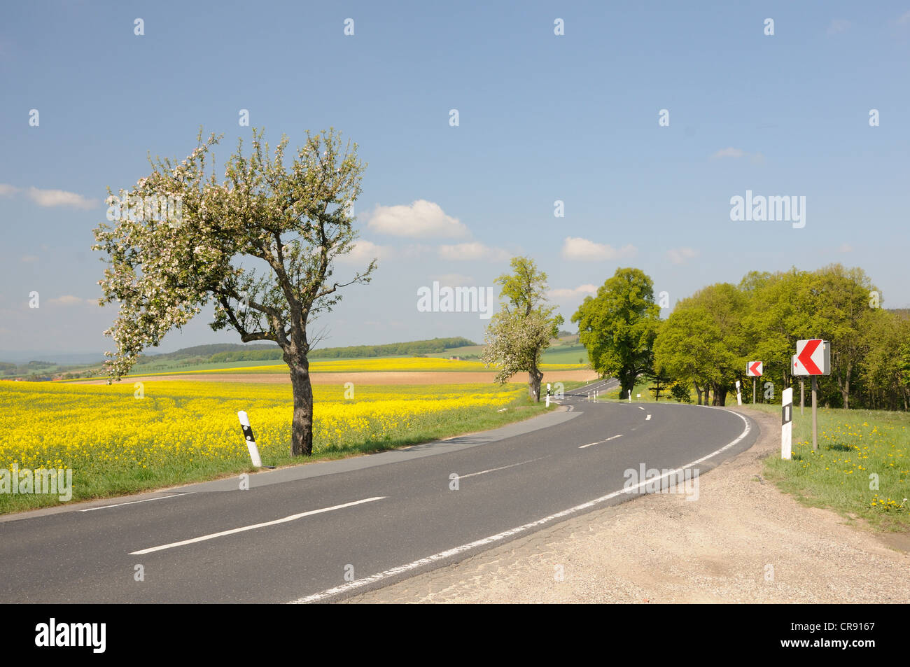 Country road in Thuringia, Germany, Europe Stock Photo - Alamy