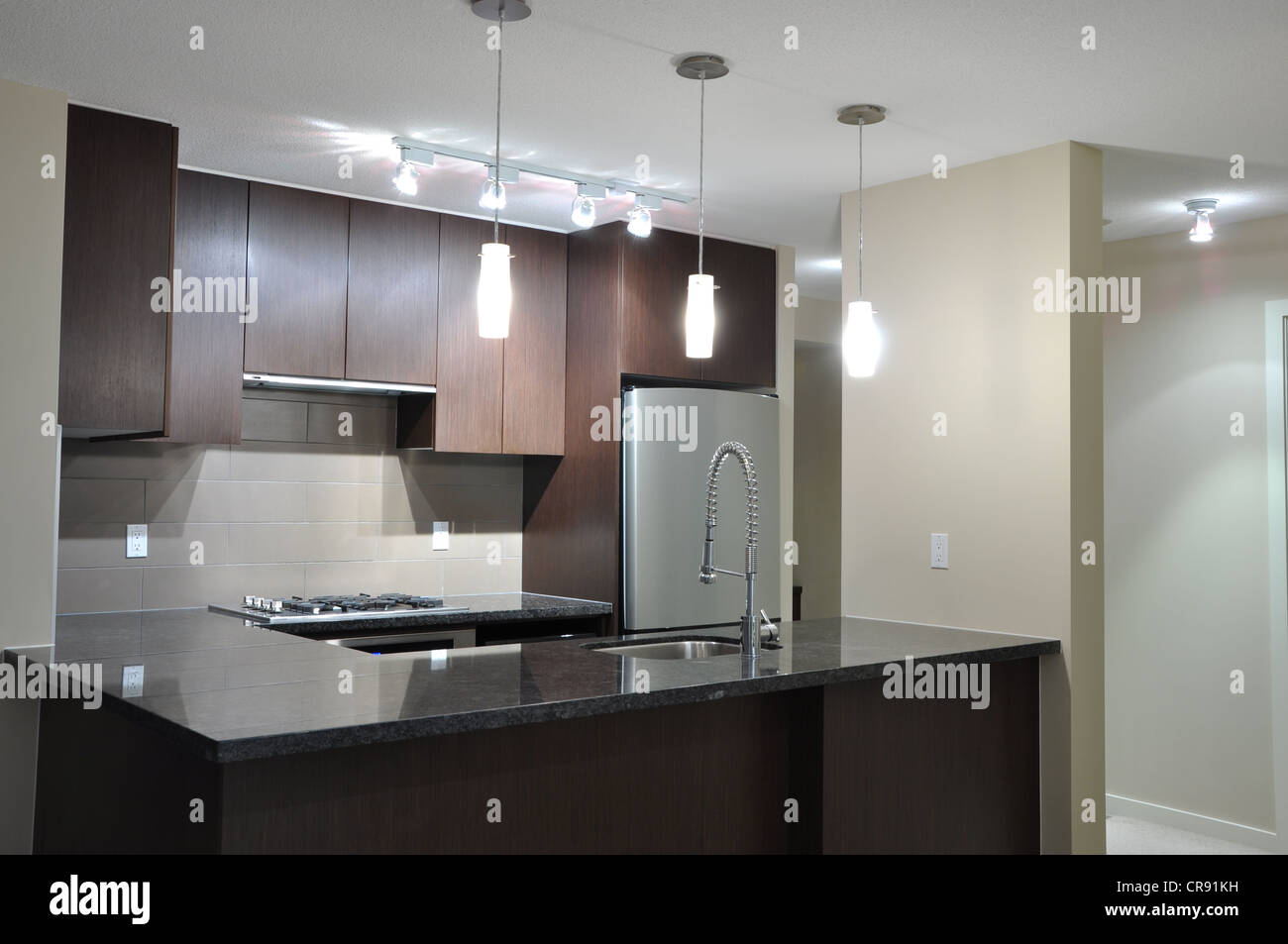 Modern kitchen interior Stock Photo - Alamy