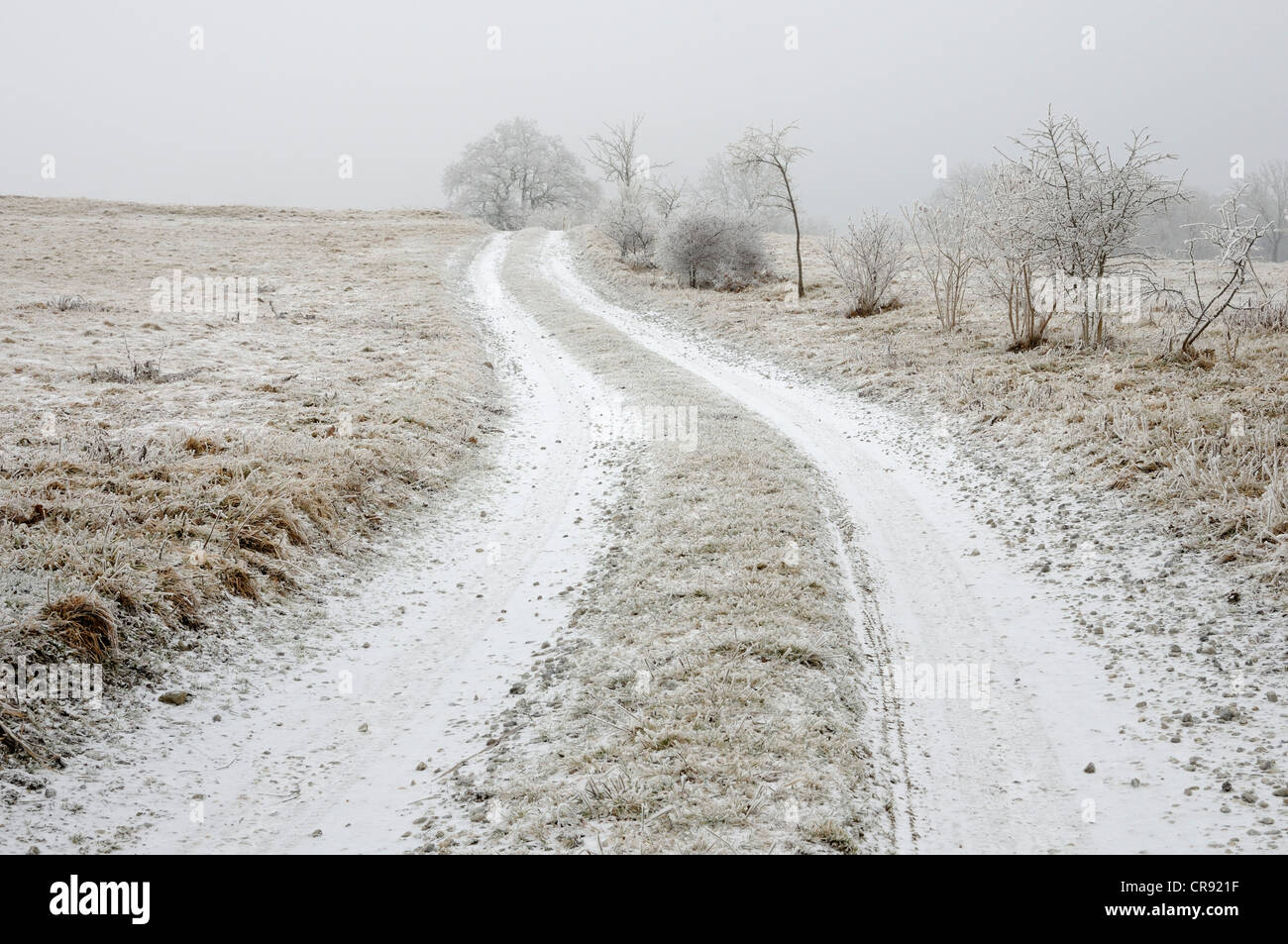 Farm track in winter, Harz mountain range, Saxony-Anhalt, Germany ...