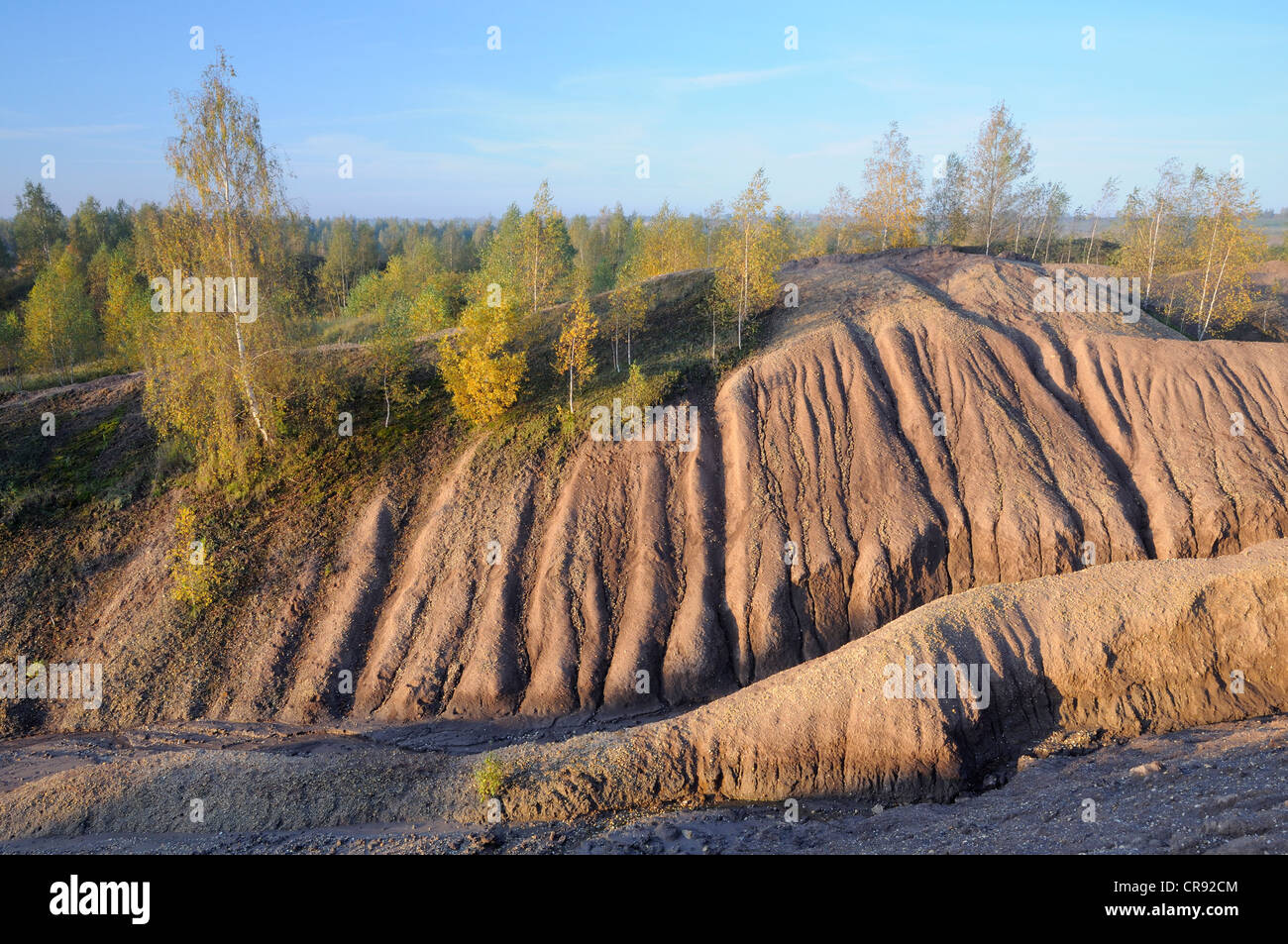 Strip mining reclamation area in autumn, Saxony, Germany, Europe Stock ...