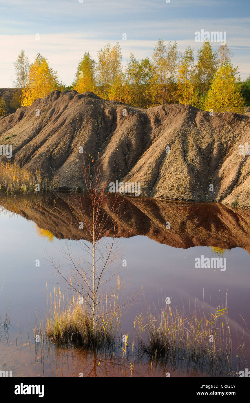 Strip mining reclamation area in autumn, Saxony, Germany, Europe Stock ...