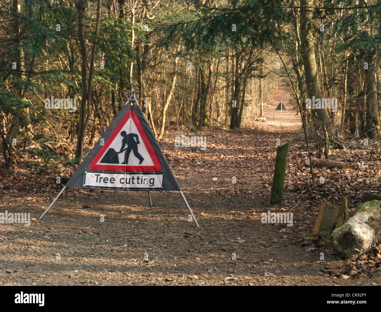 Tree cutting men at work warning signs, in the woods for walkers Stock ...