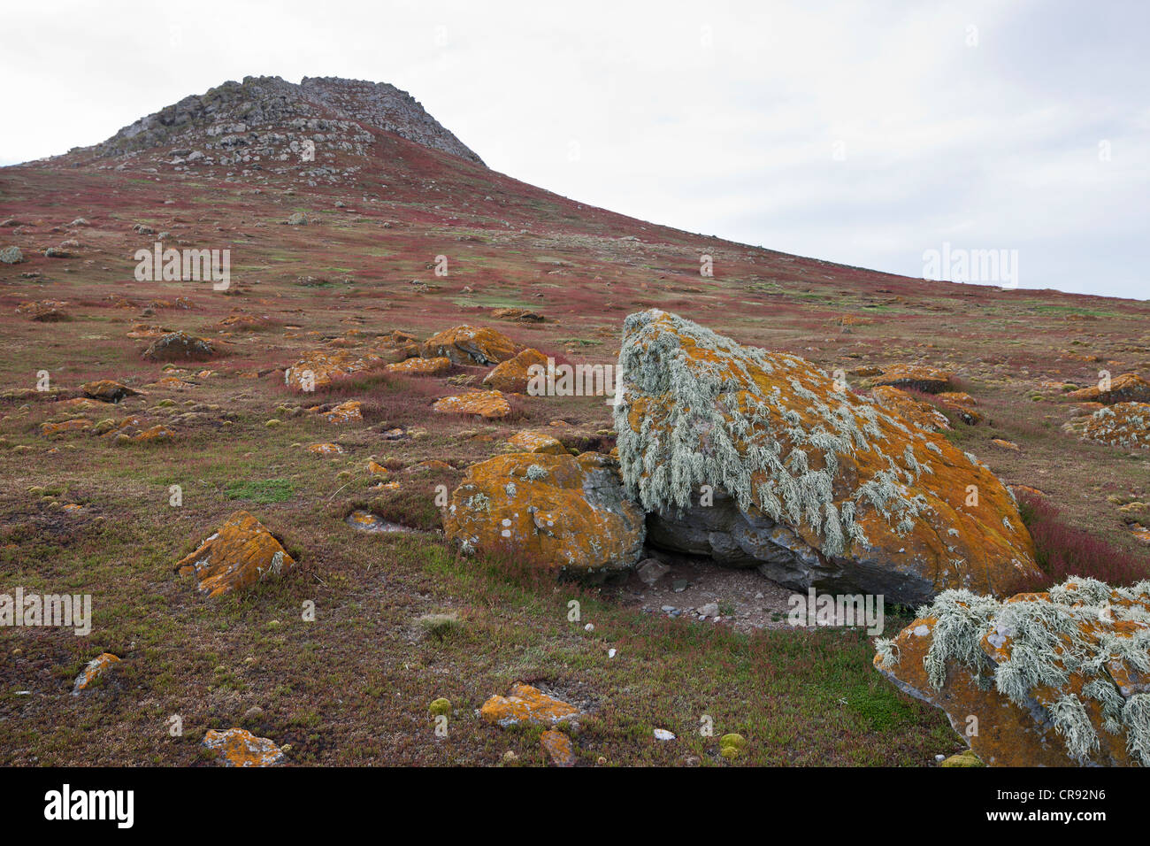 Beautiful rocky hill on Steeple Jason Island in the Falklands Stock ...