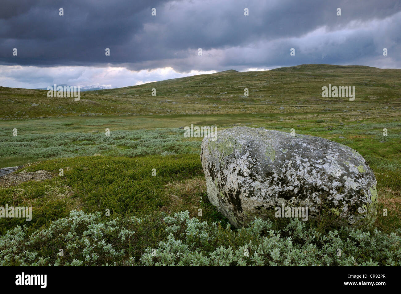 Plateau near the Hardangervidda, Norway, Scandinavia, Europe Stock ...