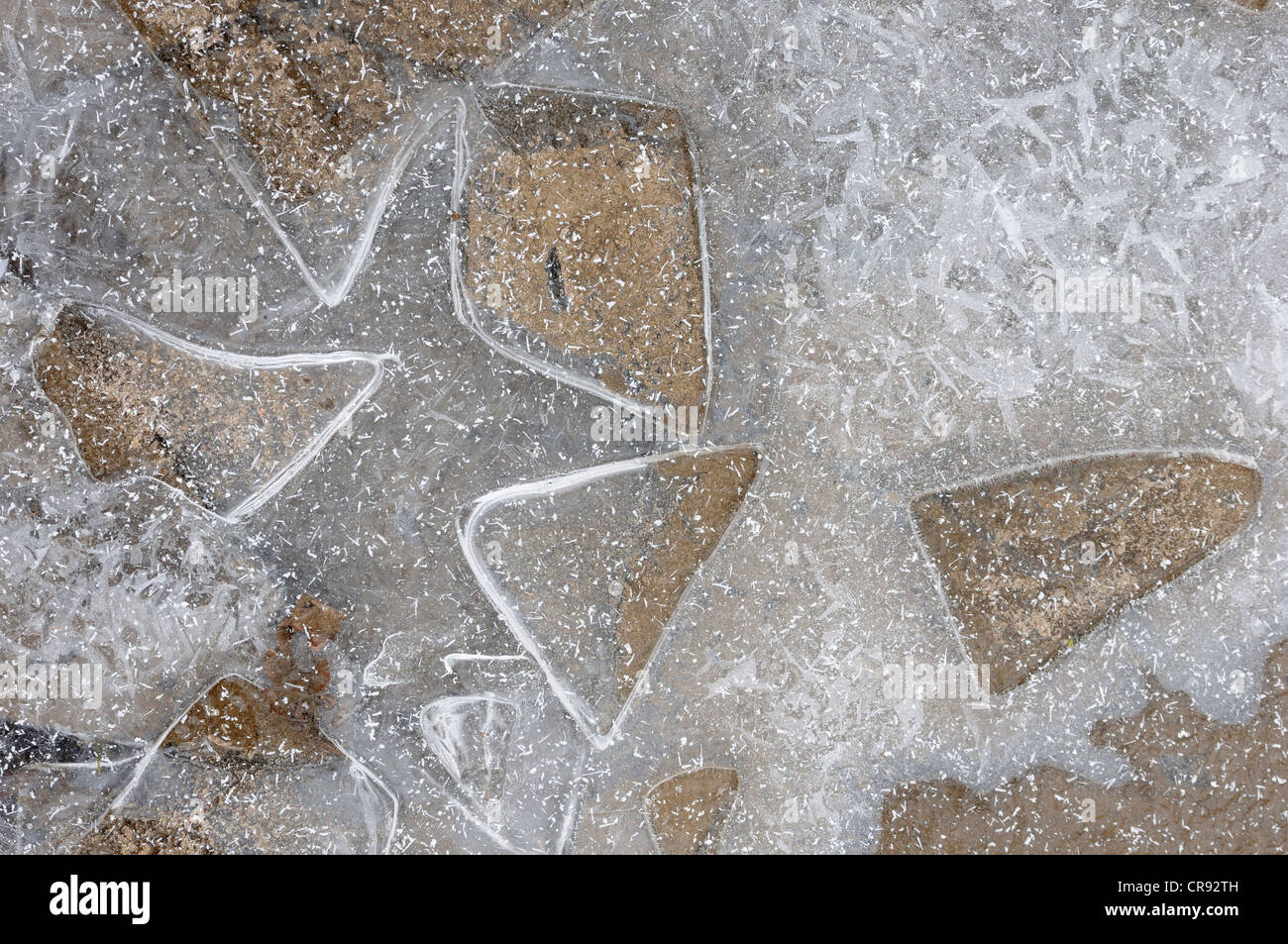 Iced Up Puddle High Resolution Stock Photography and Images - Alamy