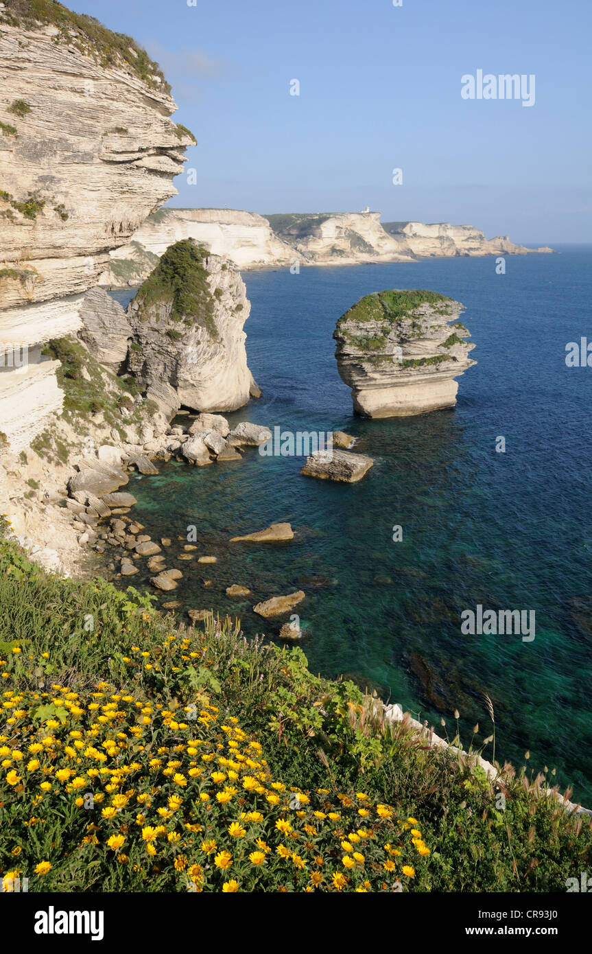 White limestone cliffs at Bonifacio, Bunifaziu, Corsica, France, Europe ...