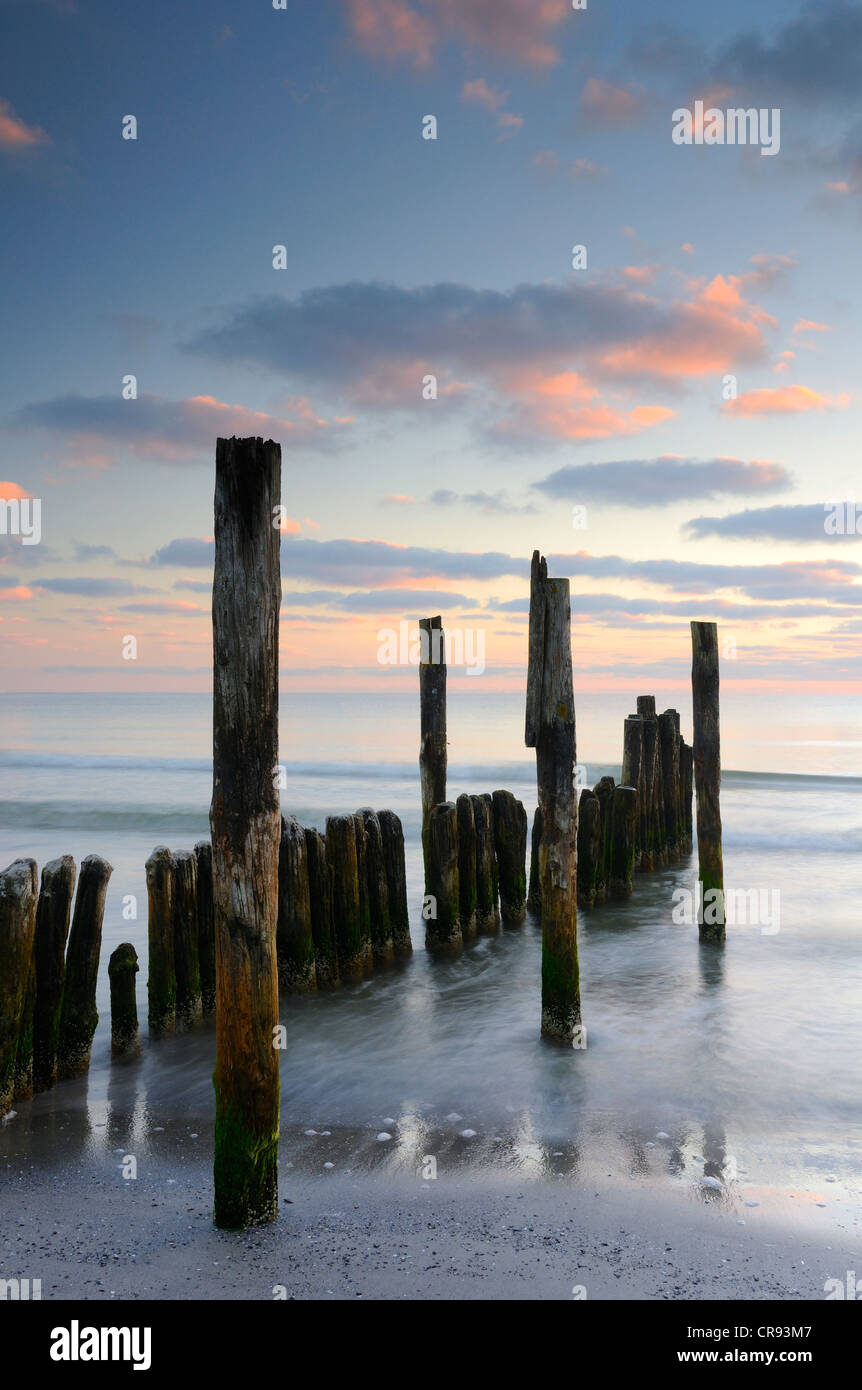 Groynes on a beach near Juliusruh, Rugia island, Mecklenburg-Western ...