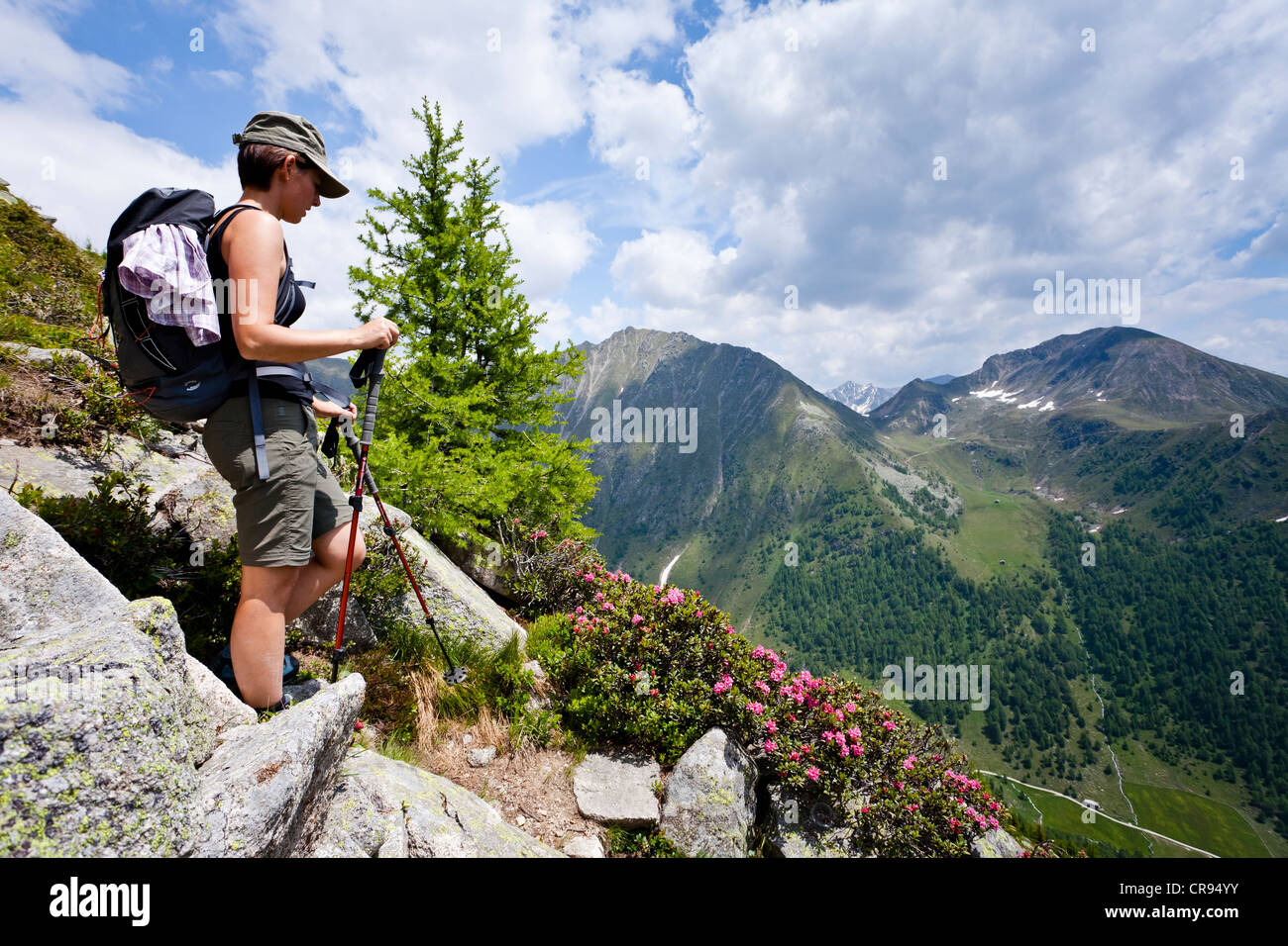 Climbers descending from Gaisjochspitze mountain, Gitschberg mountain ...
