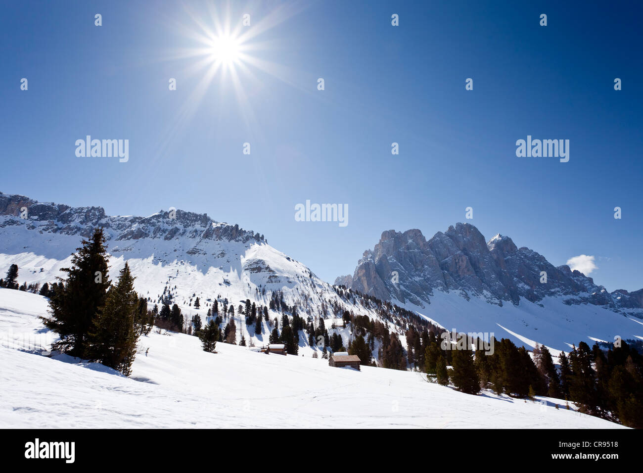 Poma hi-res stock photography and images - Alamy