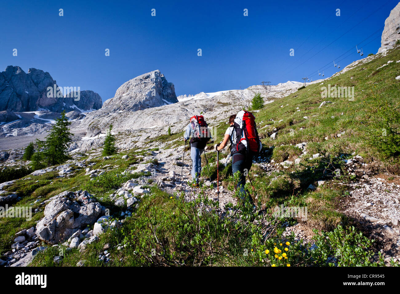 Mountaineers climbing Marmolada mountain, Dolomites, Westgrat fixed ...