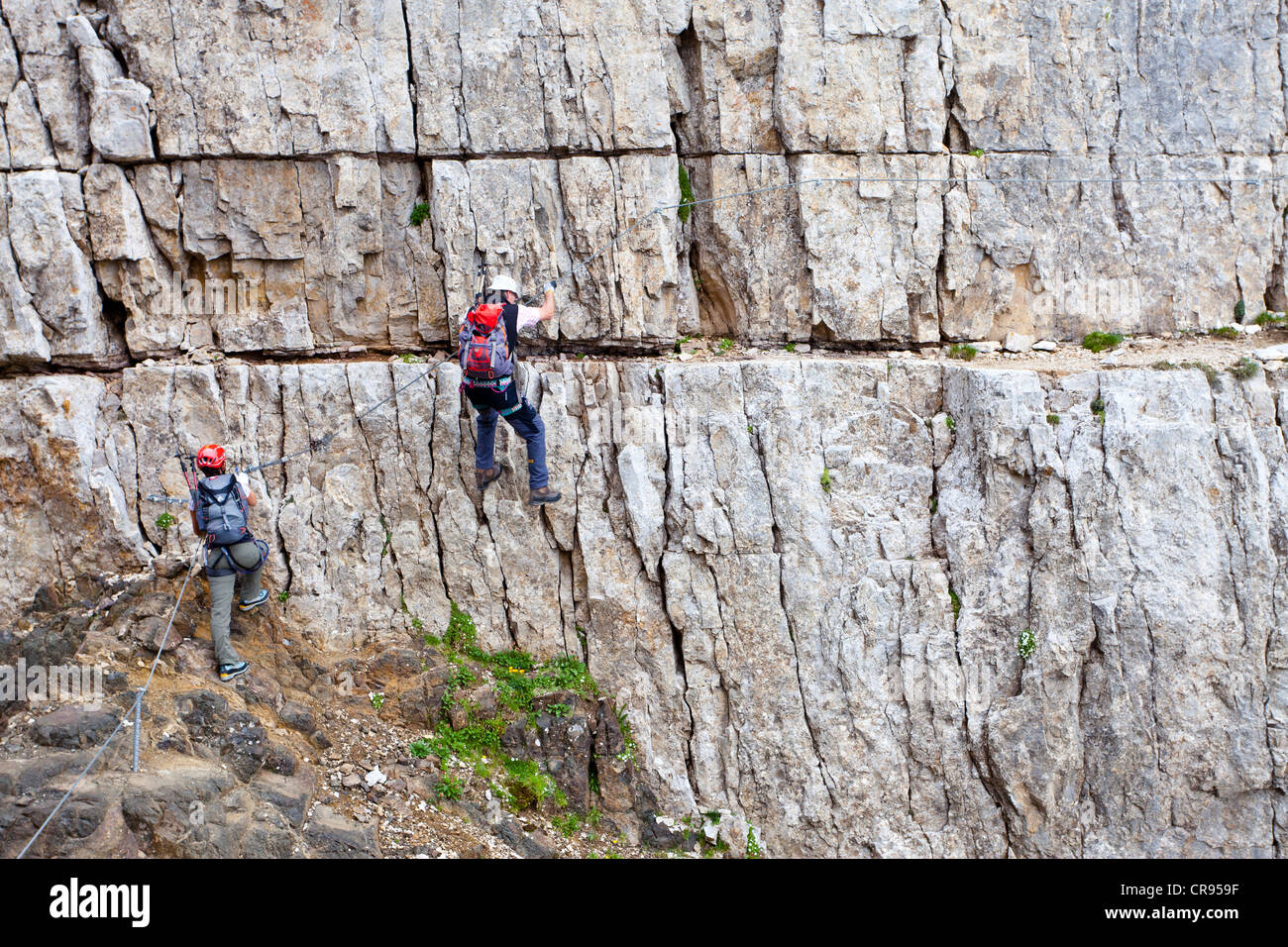 Mountaineers climbing Latemar mountain, fixed rope route, Dolomites ...