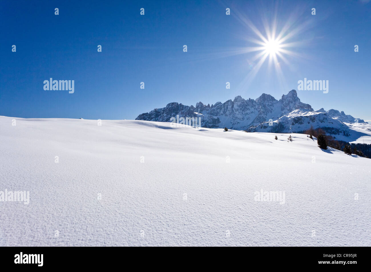 On the way up to the top of Cima Bocche mountain above Passo Valles ...