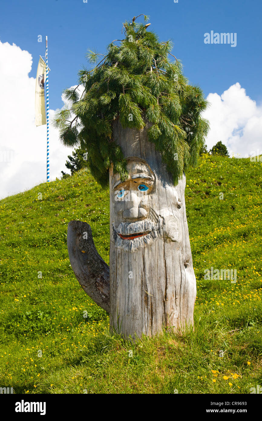 Face carved into a tree trunk Stock Photo - Alamy