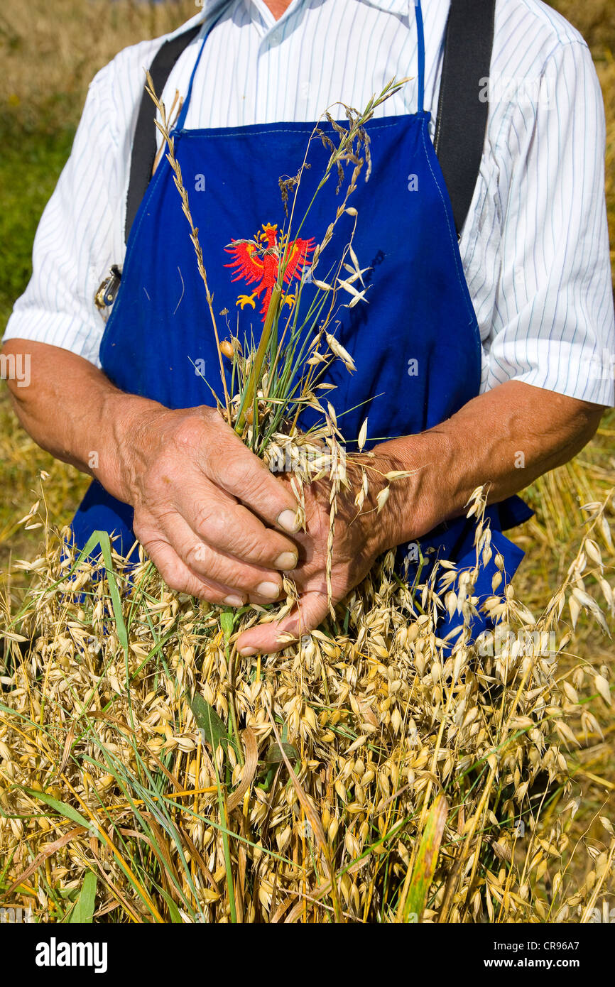 Farmer during the haymaking hi-res stock photography and images - Alamy