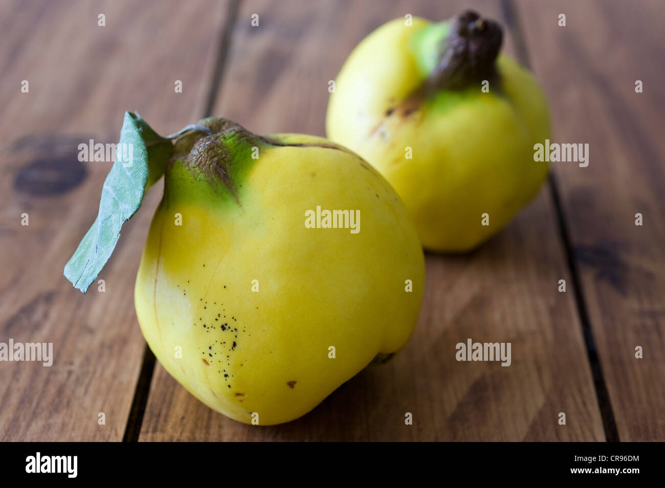 Quinces (Cydonia vulgaris Stock Photo - Alamy