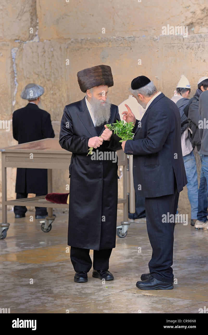 Orthodox Jews with Schtreimel fur cap, Sabbath at the Wailing Wall, old ...