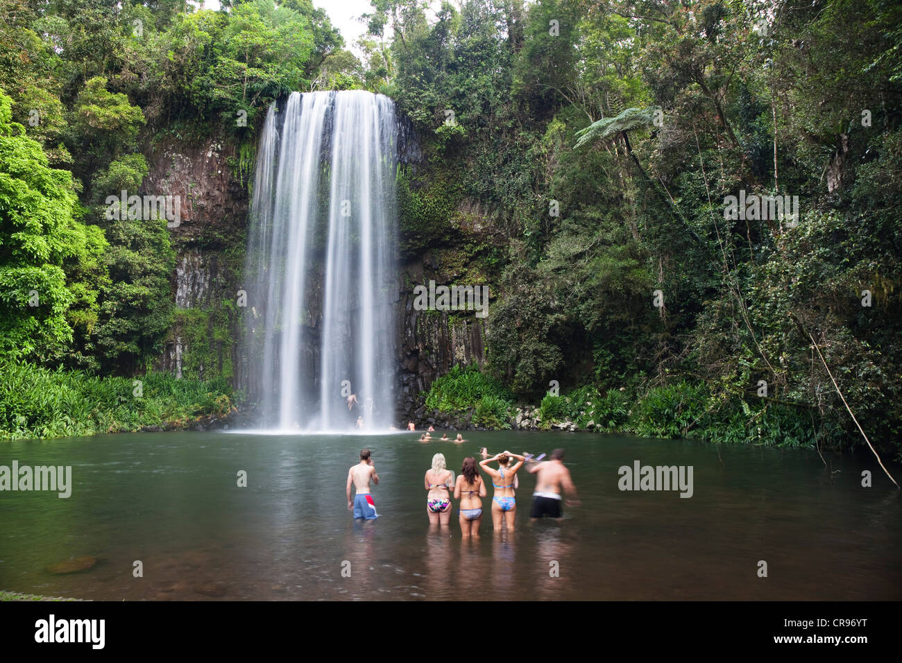 Young people bathing at Millaa Millaa Falls, Waterfall Circuit ...