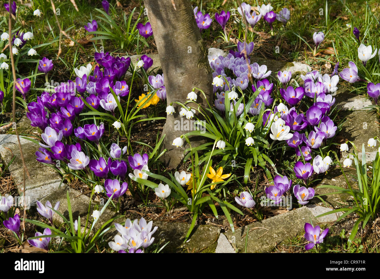 Spec hi-res stock photography and images - Alamy