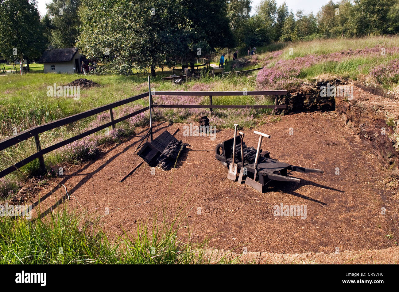 Peat extraction and a marsh biotope, Moormuseum Moordorf museum, near ...