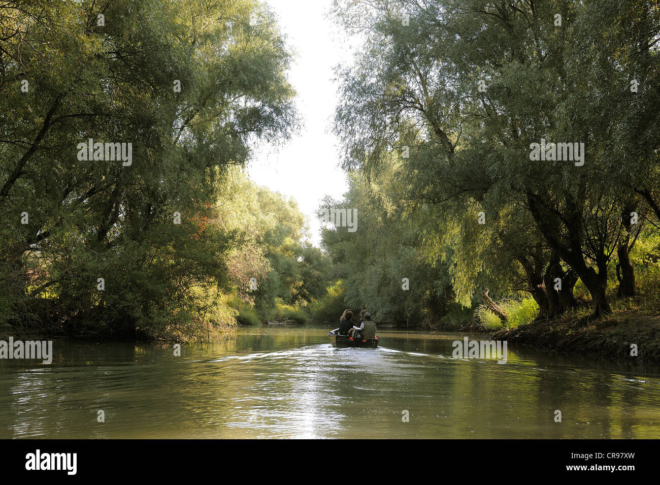 Boat ride through a dead stream branch, Danube Delta, Romania, Europe ...
