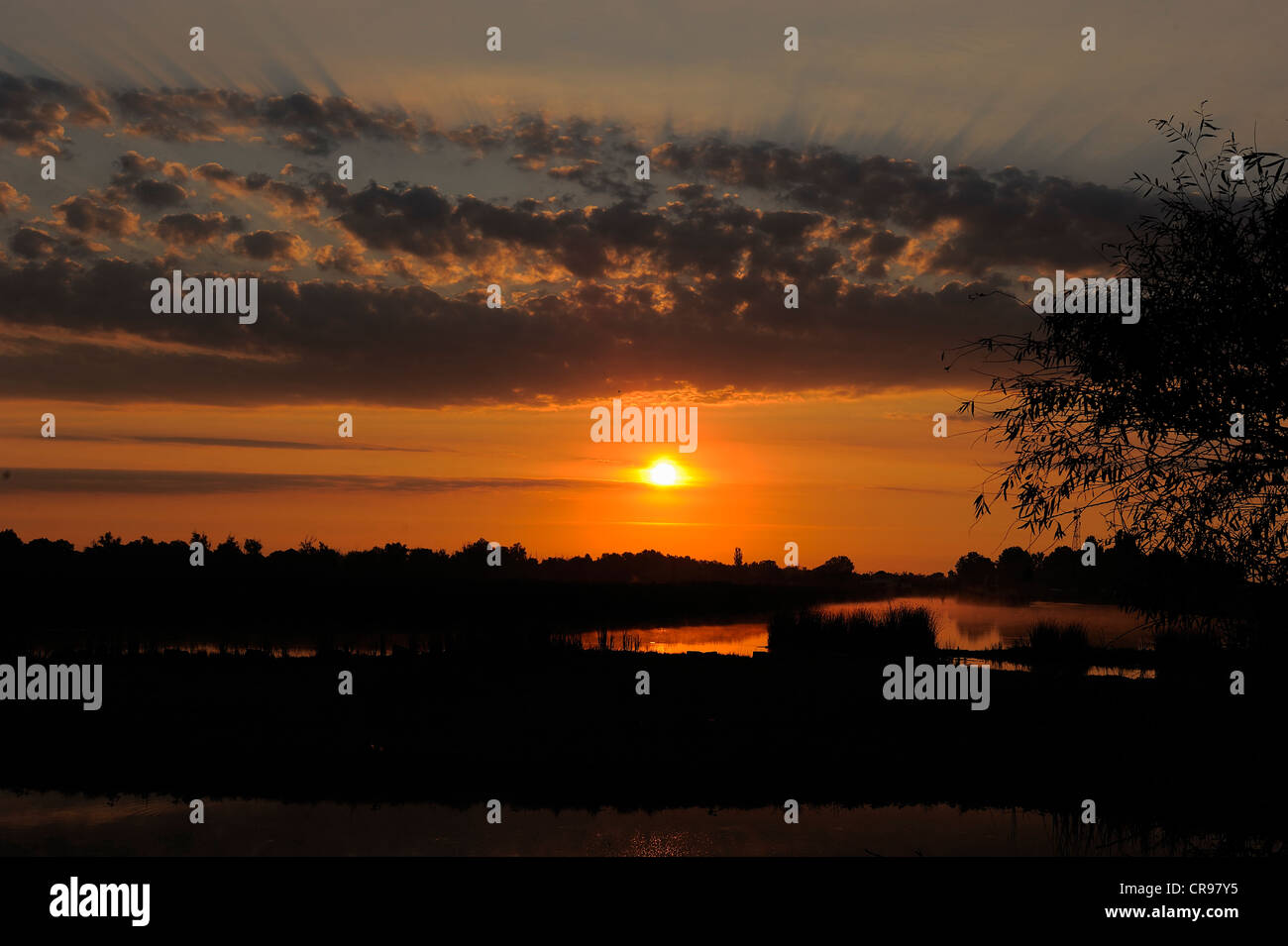 Danube delta area hi-res stock photography and images - Alamy
