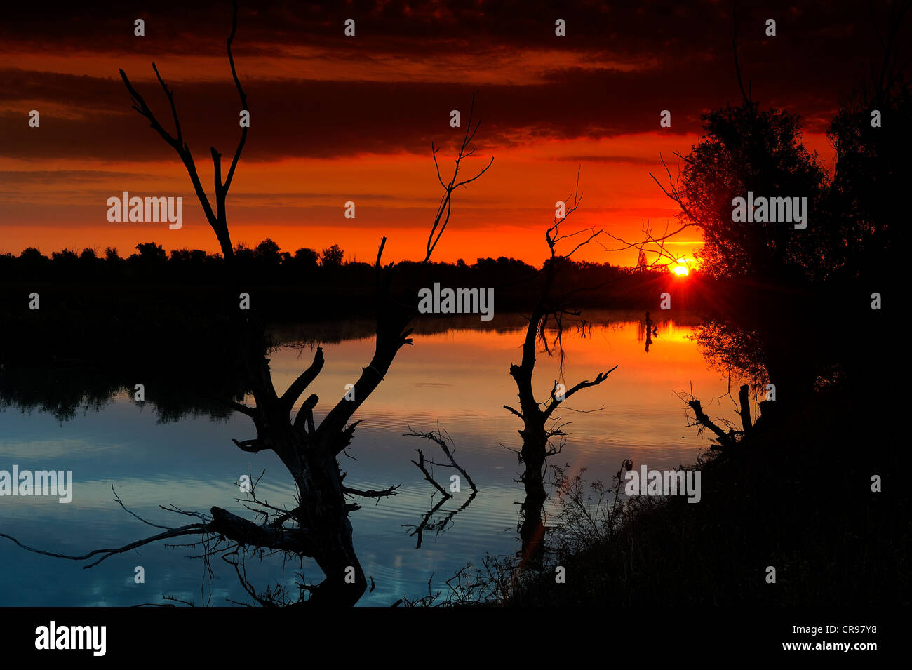 Wetland sunset danube delta hi-res stock photography and images - Alamy