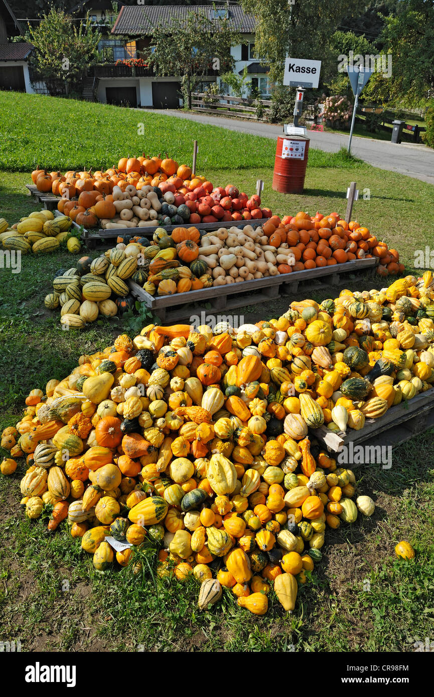 O ornamental hi-res stock photography and images - Alamy