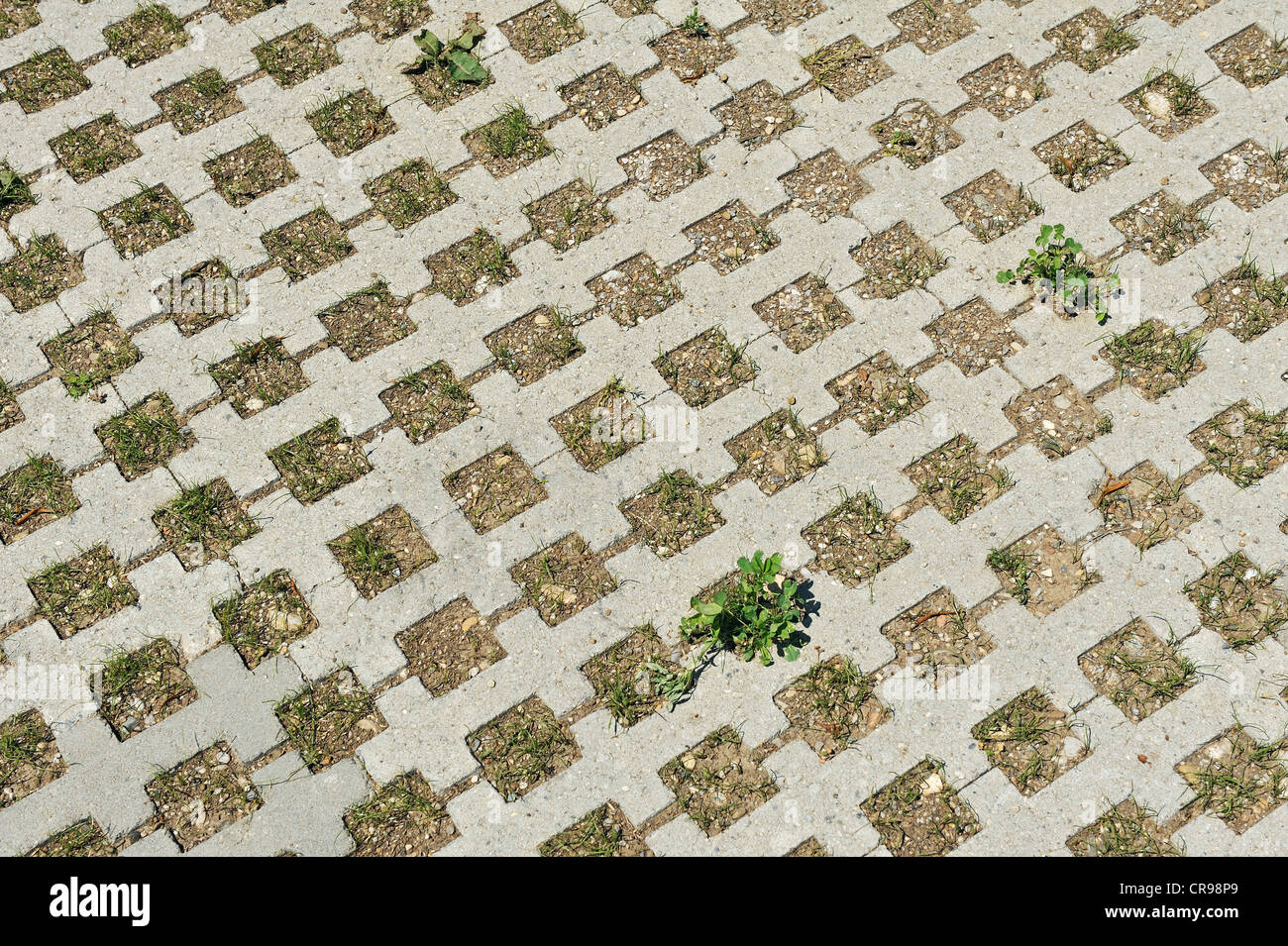 Grass pavers hi-res stock photography and images - Alamy