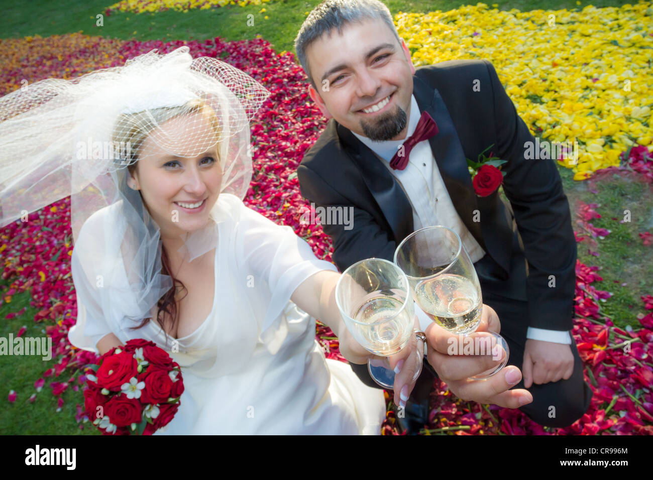 Bride and groom makes a toast with champagne Stock Photo - Alamy